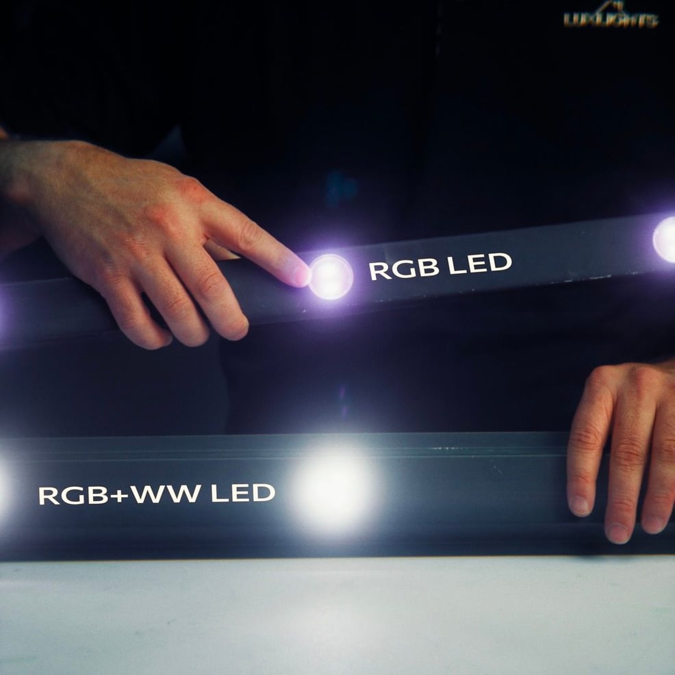 Lux Lights versus Jellyfish Lighting: What Permanent Lighting Should I ...
